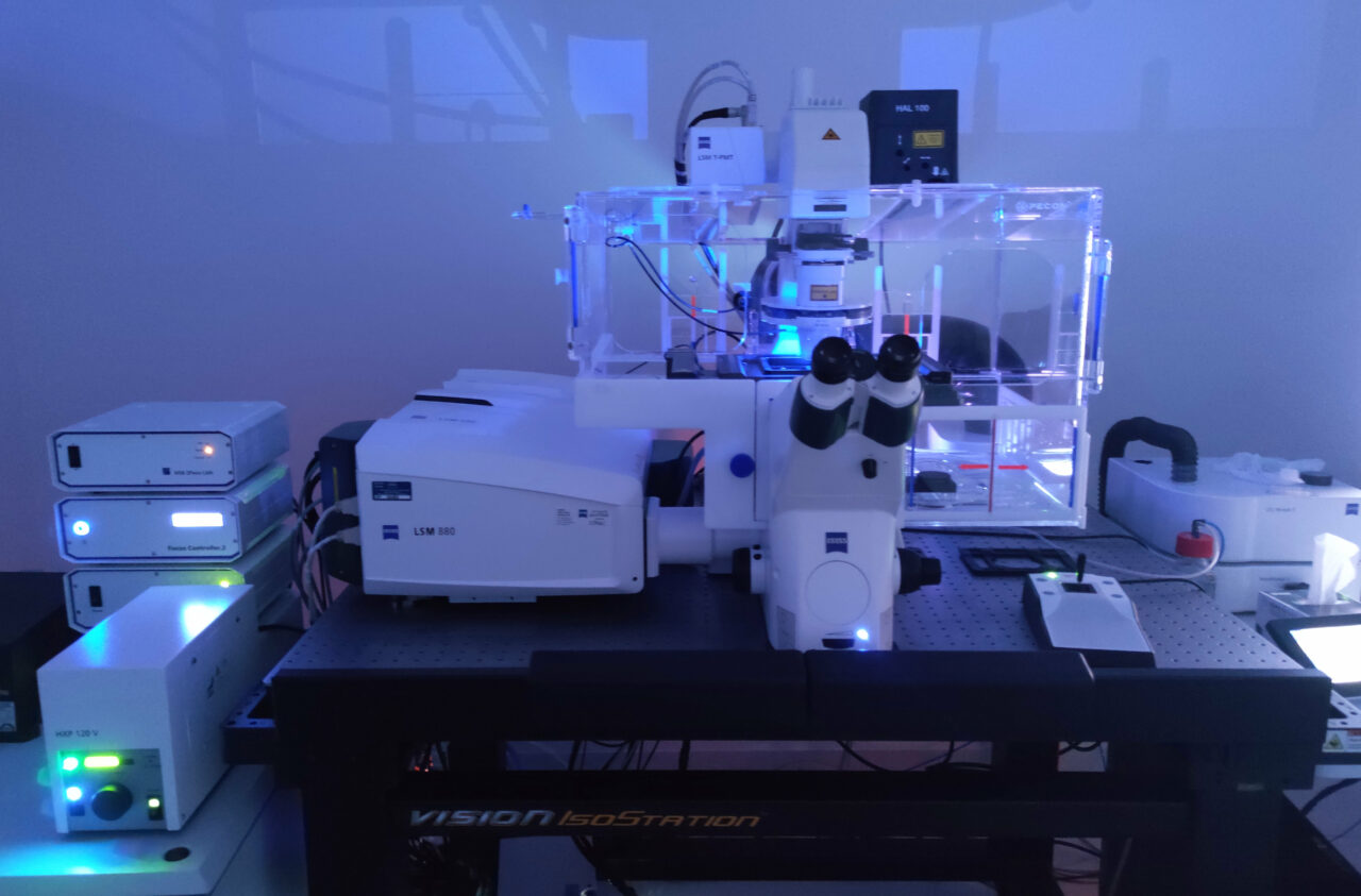 CELLULAR IMAGING - Toulouse Cancer Research Center