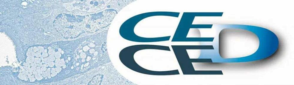 Alexia Brunel receives the Claude Rozè Prize at the CECED congress in Lyon - Toulouse Cancer ...